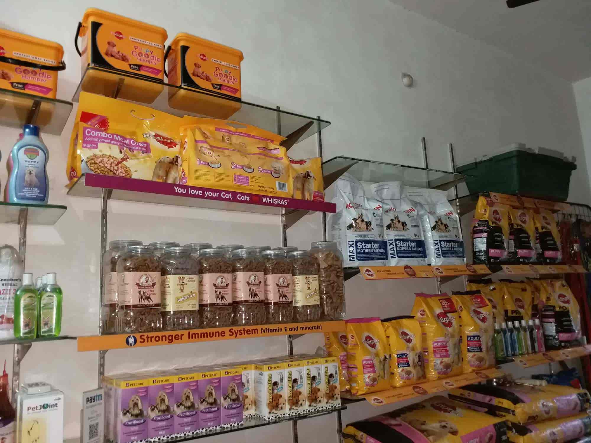 Angell Pets in Durga Colony,Rohtak - Best Pet Shops near me in Rohtak ...