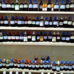 List of nearest Homeopathic Gynaecology Doctors in Rudrapur | Justdial