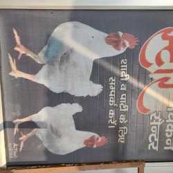 Top Broaster Chicken Retailers in Delhi - Best Broaster Chicken ...