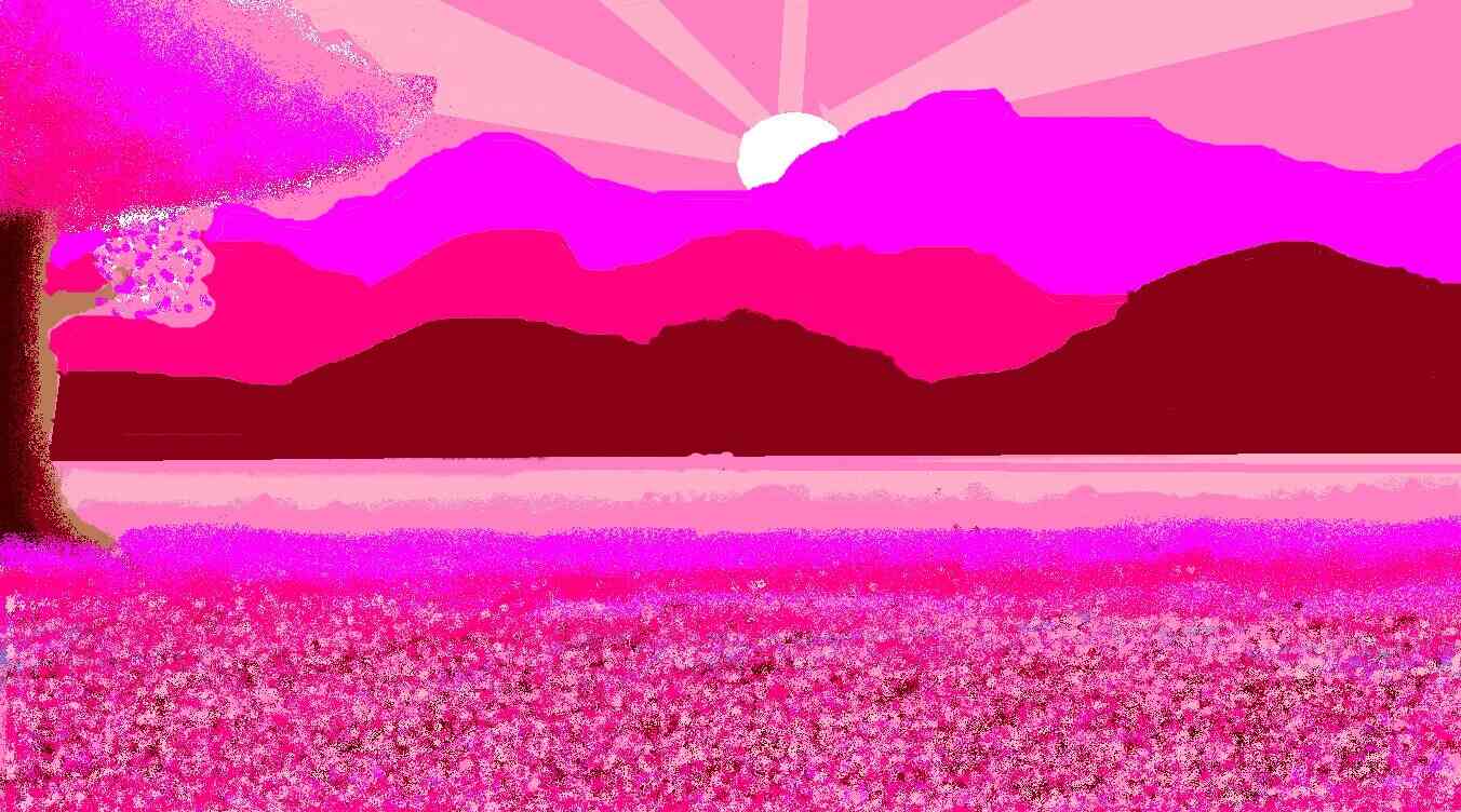 Mee Graphics in Salem South,Salem - Best 2D Animation Training ...