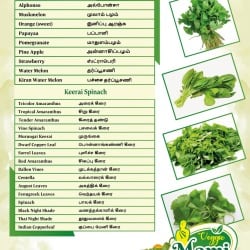 Top Onion Wholesalers in Market - Best /b2b/agriculture Produce ...