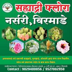 Five Flowers Name In Sanskrit With Pictures | Best Flower Site