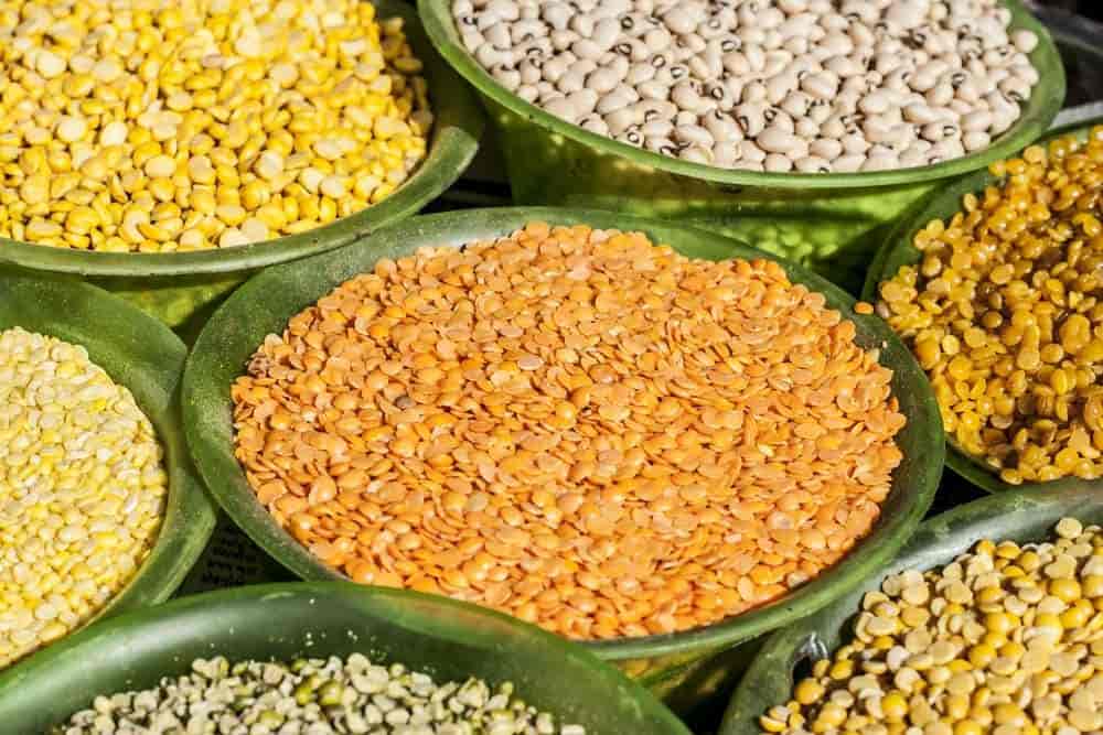 Ram Julum Yadav Provision Store in Hal Layout,Bangalore - Best Dairy ...