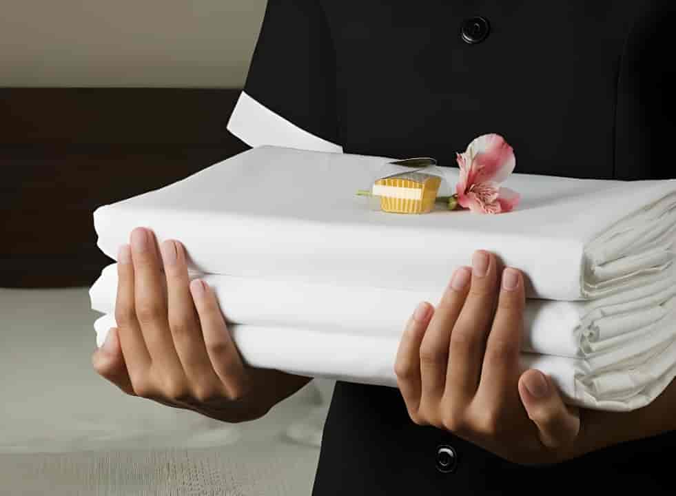 Book Hotel Vijay Vilas in Ramdevra,Jaisalmer - Best Hotels near me in ...