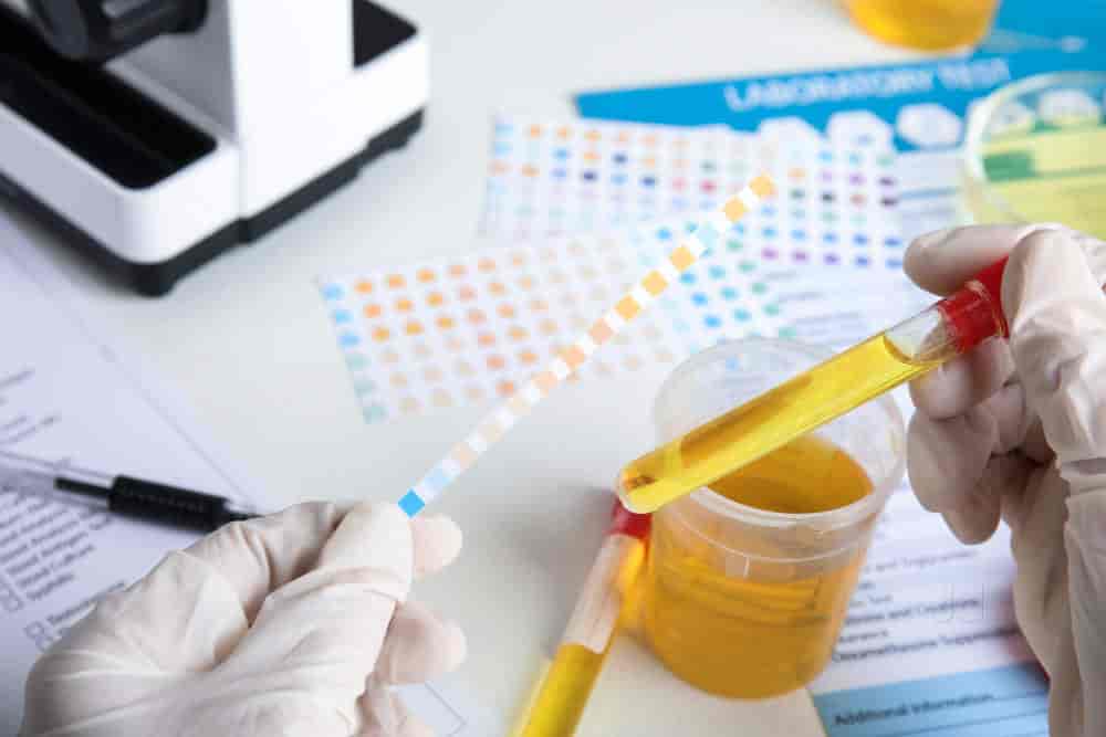 Paliwal Pathology Lab (Closed Down) in Gumti No 5,Kanpur - Best near me ...