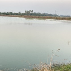 Top Fish Farming in Ukai Dam, Surat near me - Justdial