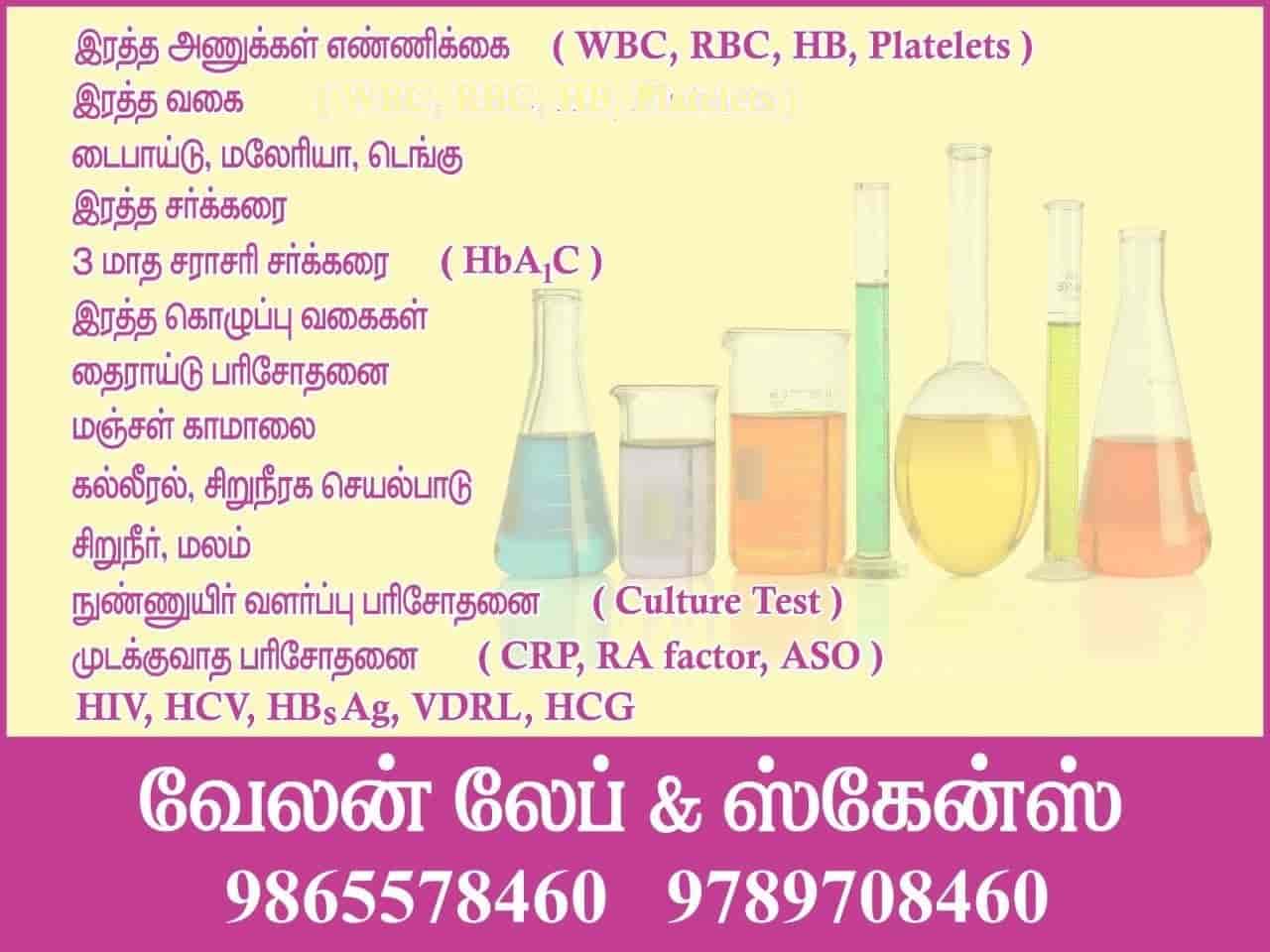 Velan Lab And Scans in alangulam,Tenkasi - Best Diagnostic Centres in ...
