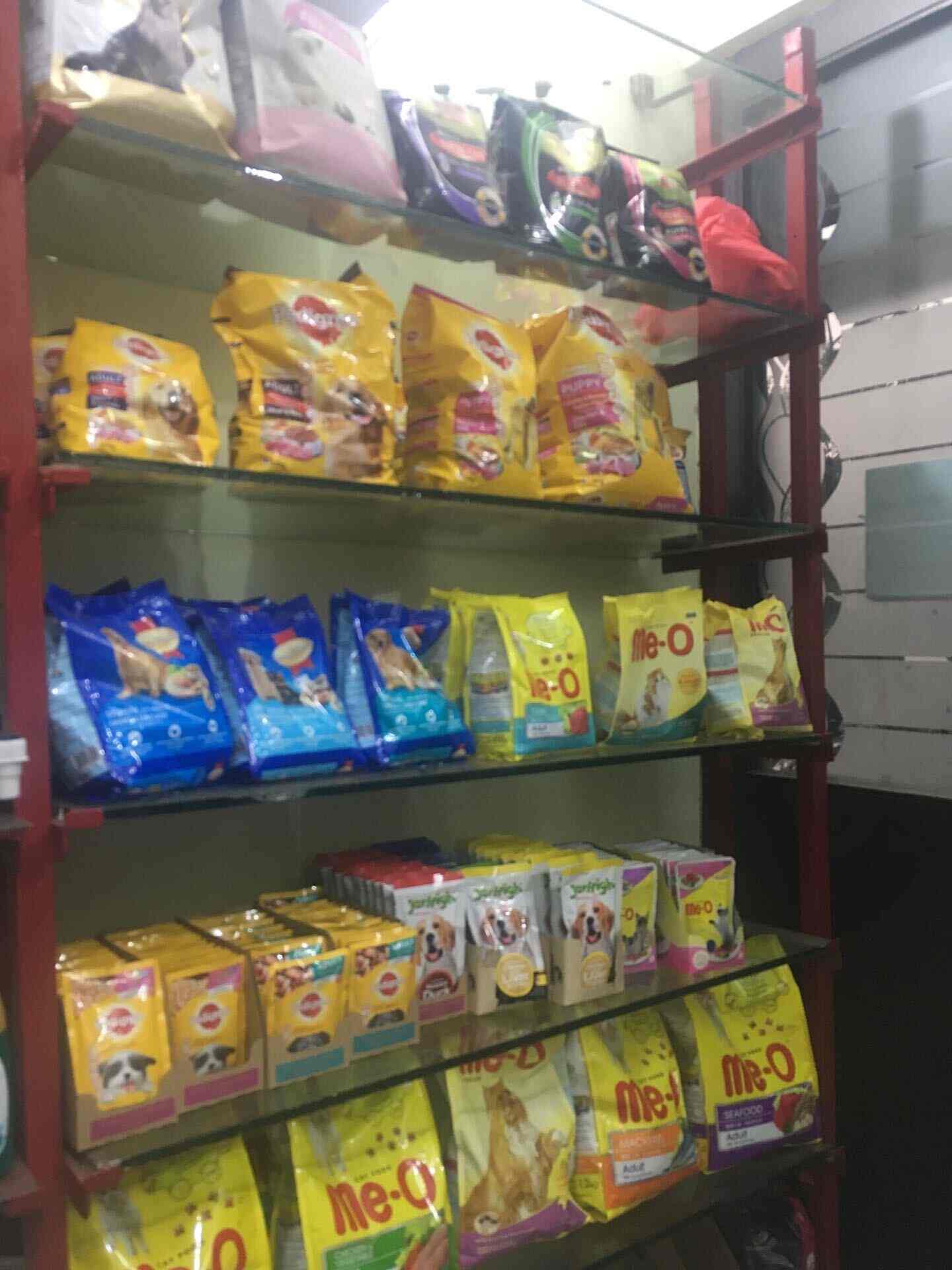 Swiggy Paw in Thane West,Mumbai - Best Pet Shops For Dog in Mumbai ...