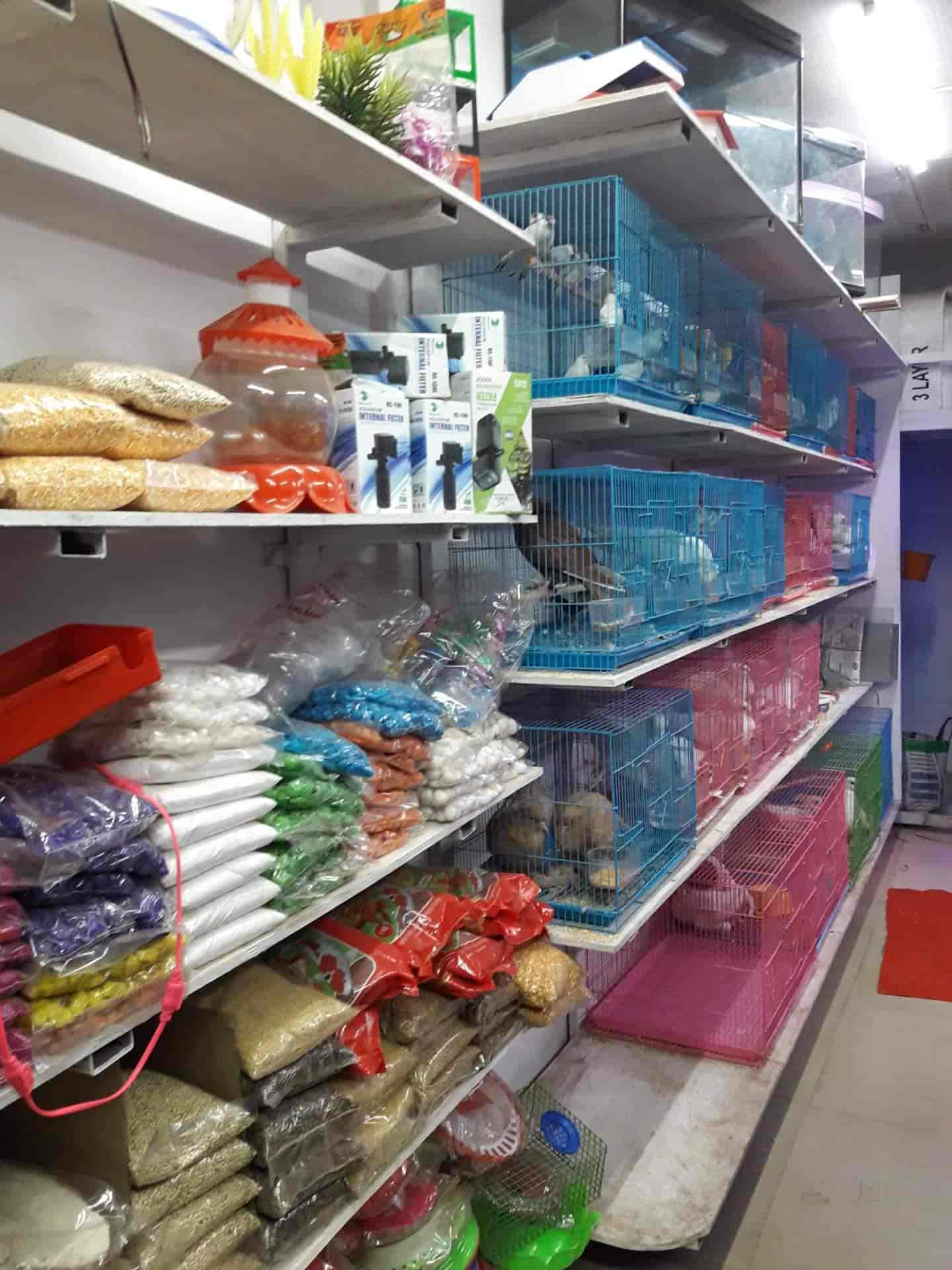 SJ Pets Shop in Thrissur East,Thrissur - Best Pet Shops near me in ...