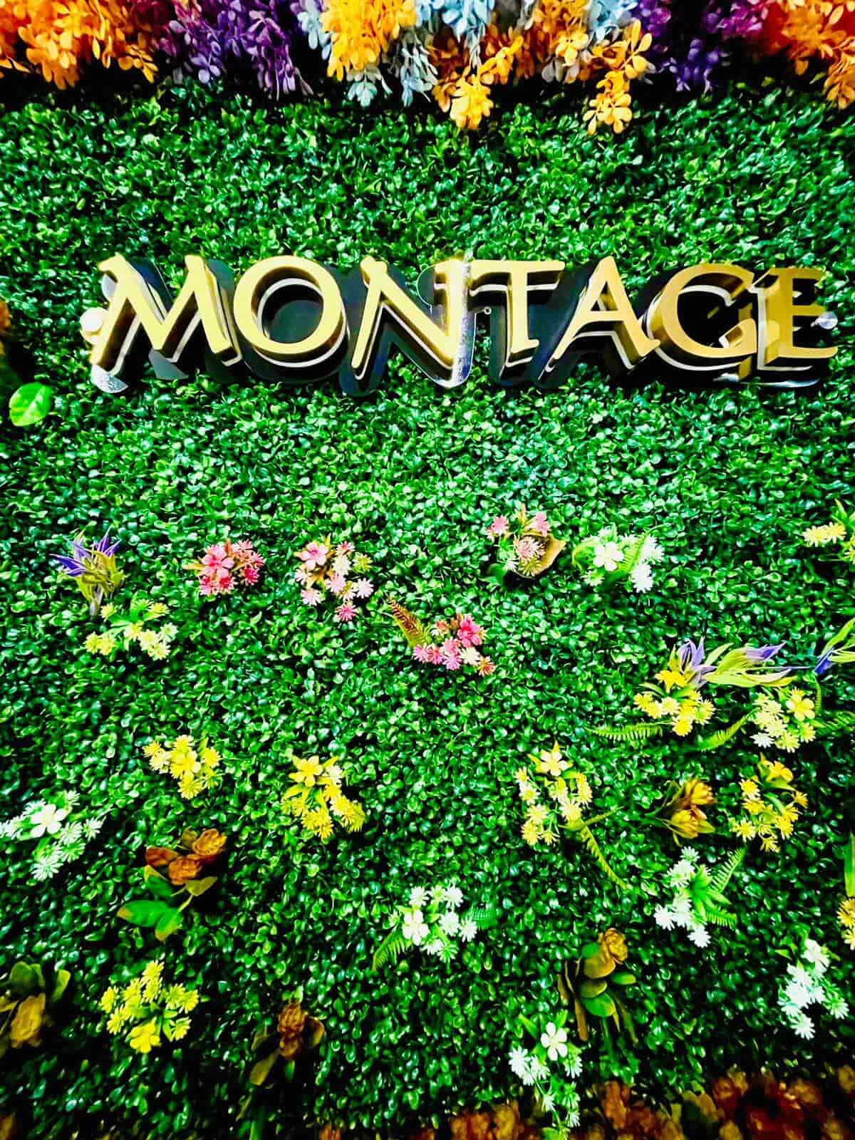 Montage Wellness in Rayapuram Tirupur,Tirupur - Best Ayurvedic Body ...