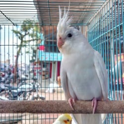 Top Aquariums in Fabrication Road - Best Fish Tank Dealers near me ...