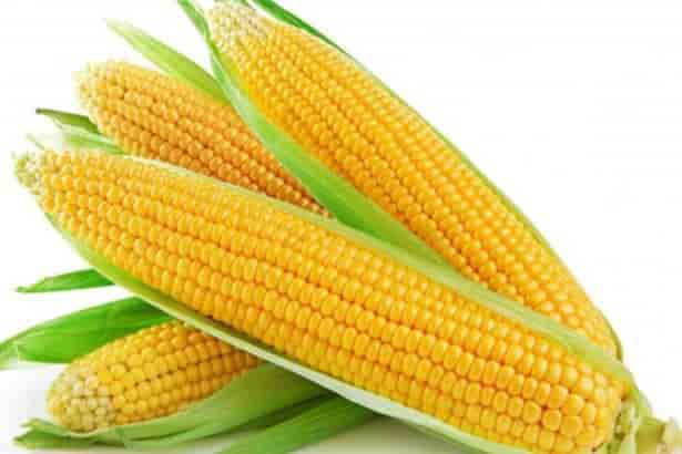 how to prepare baby corn recipes in telugu
