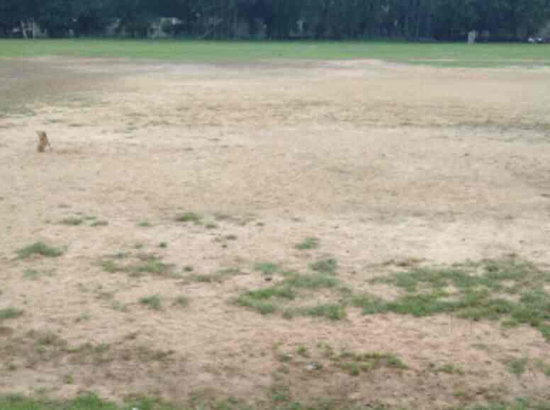 Ongc Sports Complex in Danteshwar,Vadodara - Best Sports Ground near me ...