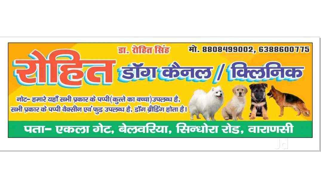 Rohit Dog Kennel (Closed Down) in Belwariya,Varanasi - Best near me in ...