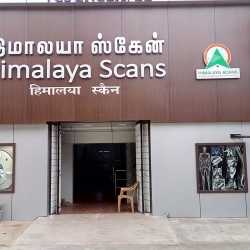 Himalaya Scans Pvt Ltd in Kosapet,Vellore - Best Diagnostic Centres ...