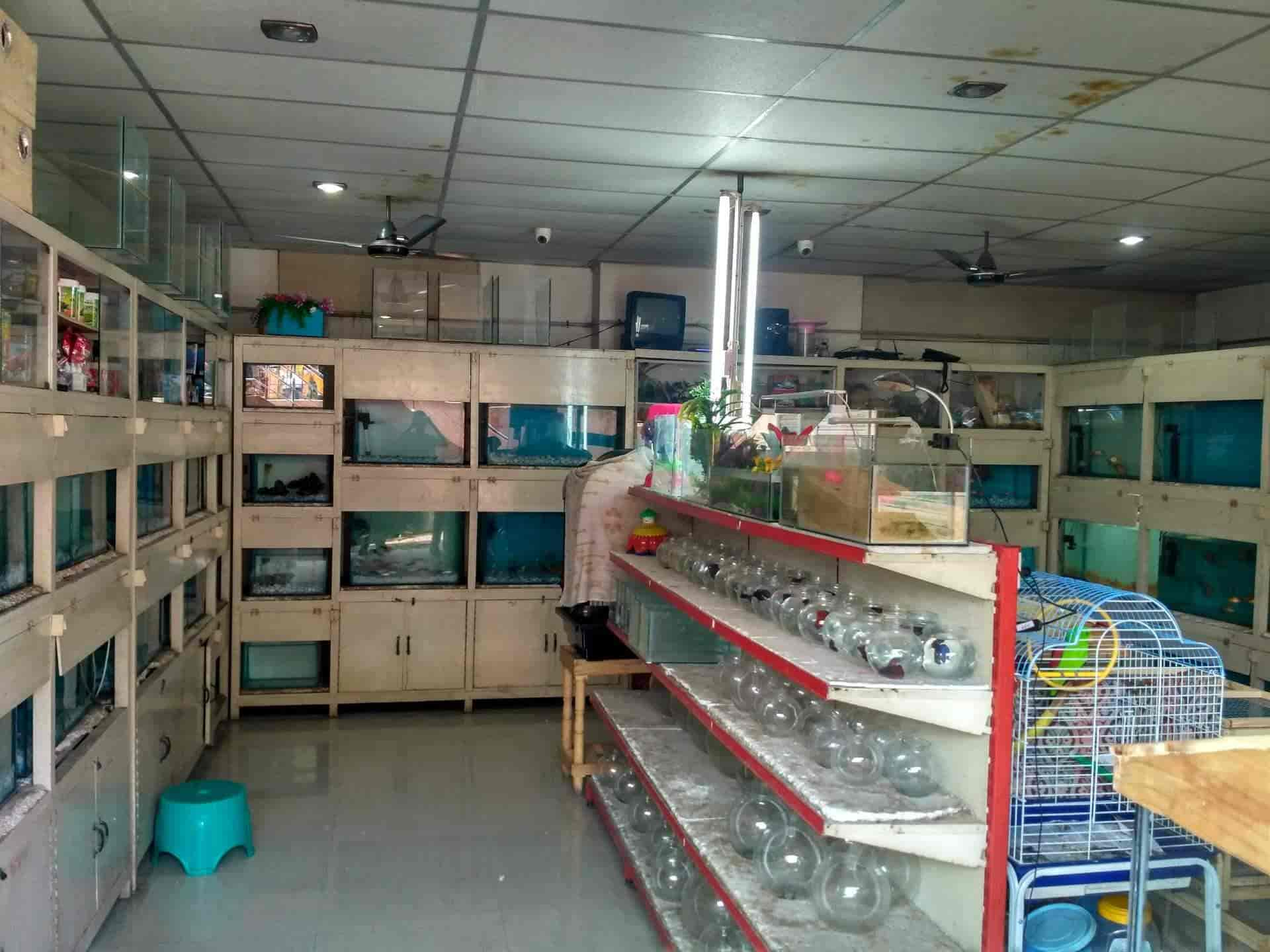 Fish Point (Closed Down) in Sathuvacheri,Vellore - Best near me in ...