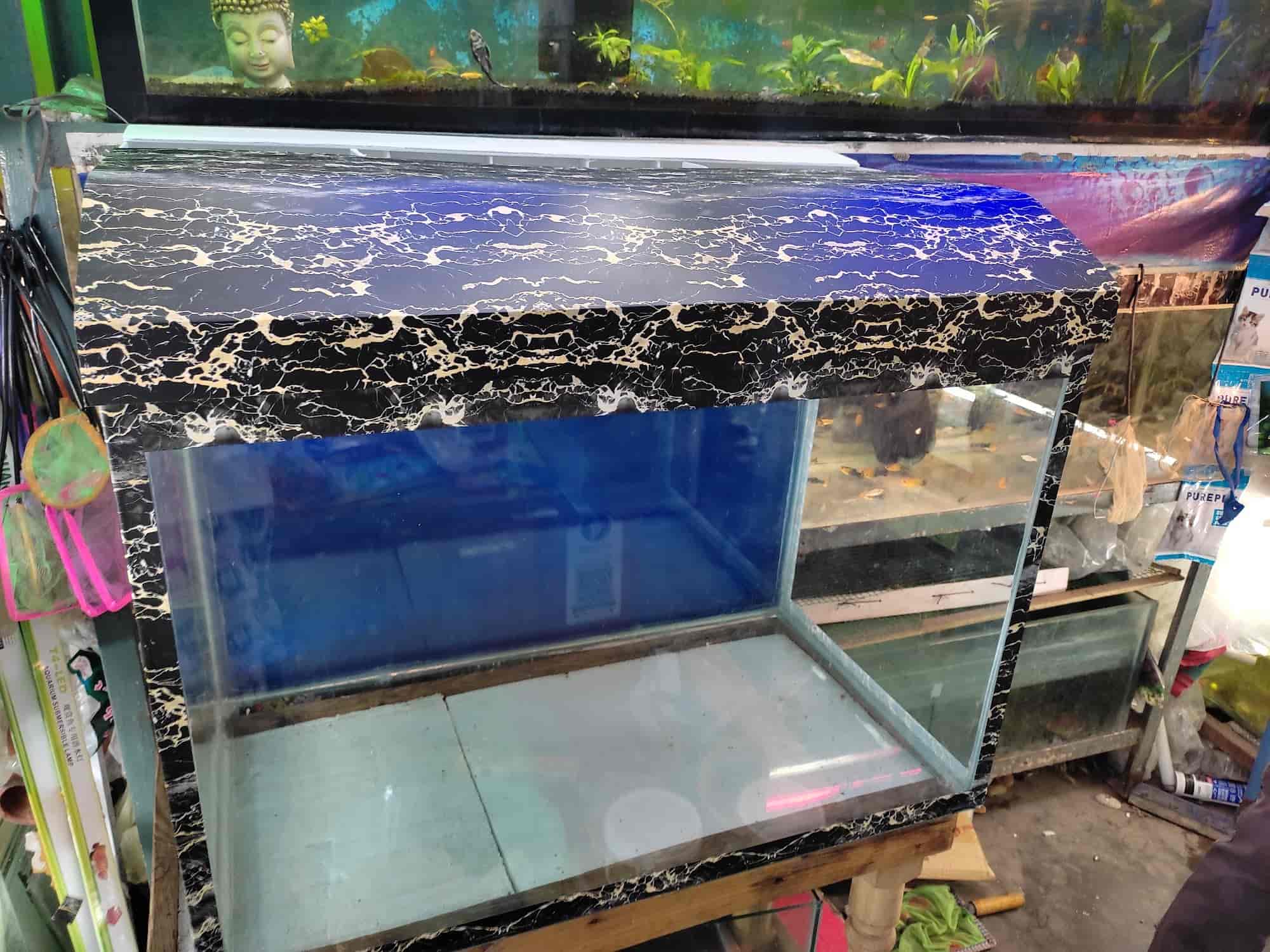 Sri Vinayaka Aquariums in Sujatha Nagar,Visakhapatnam - Best Aquariums ...