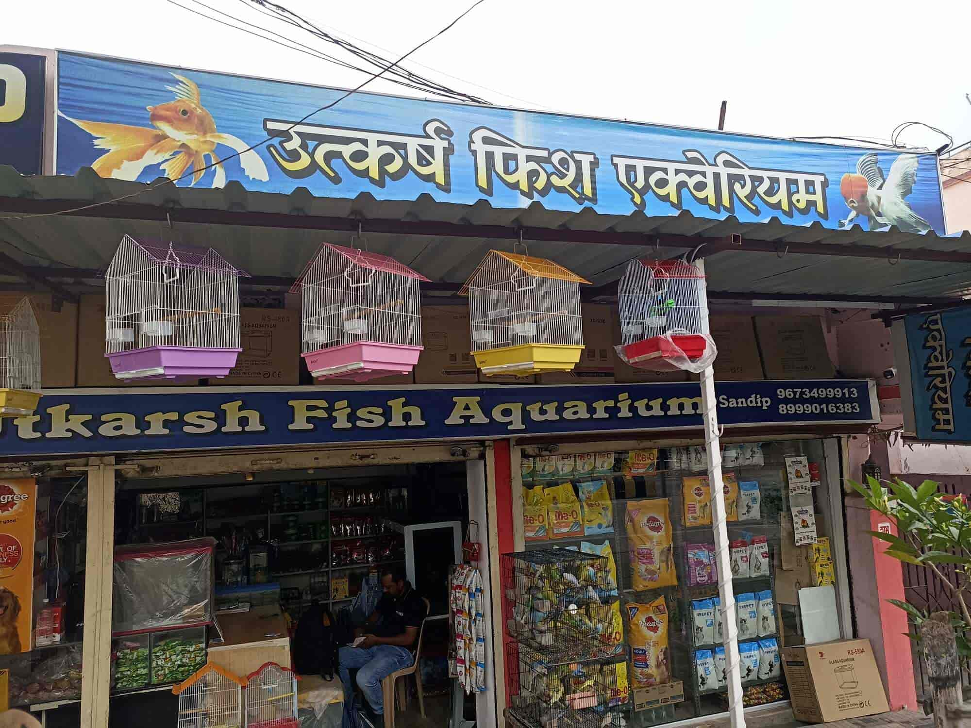 Utkarsh Fish Aquarium in Bachelor Road,Wardha - Best Aquariums near me ...