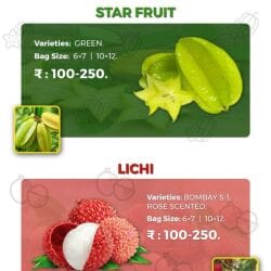 Top Alive Plant Plant Nurseries in Pulgaon - Best Alive Plant Plant ...