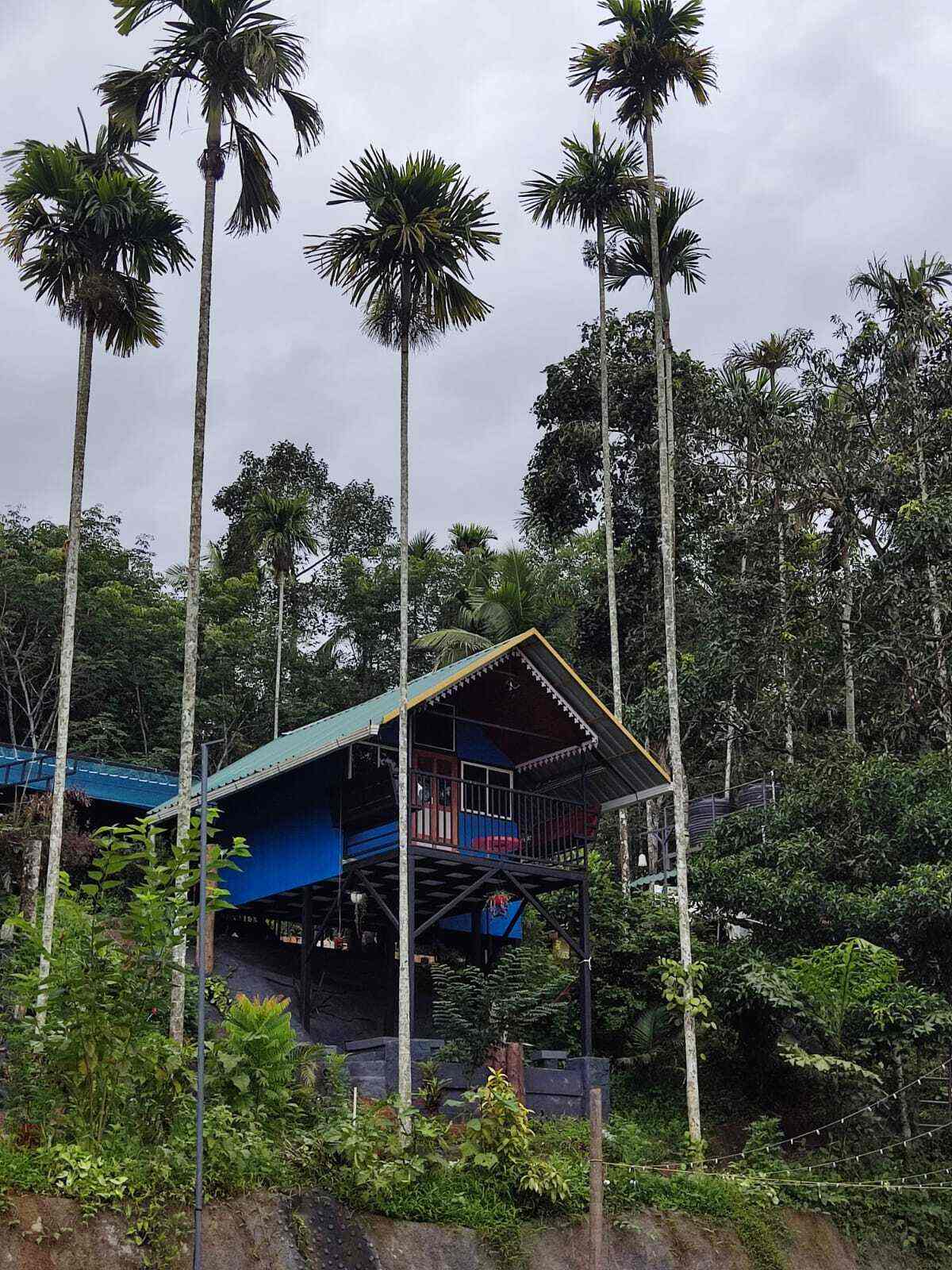 Book OXY HUT in Poothadi,Wayanad - Best Resorts With Swimming Pool near ...