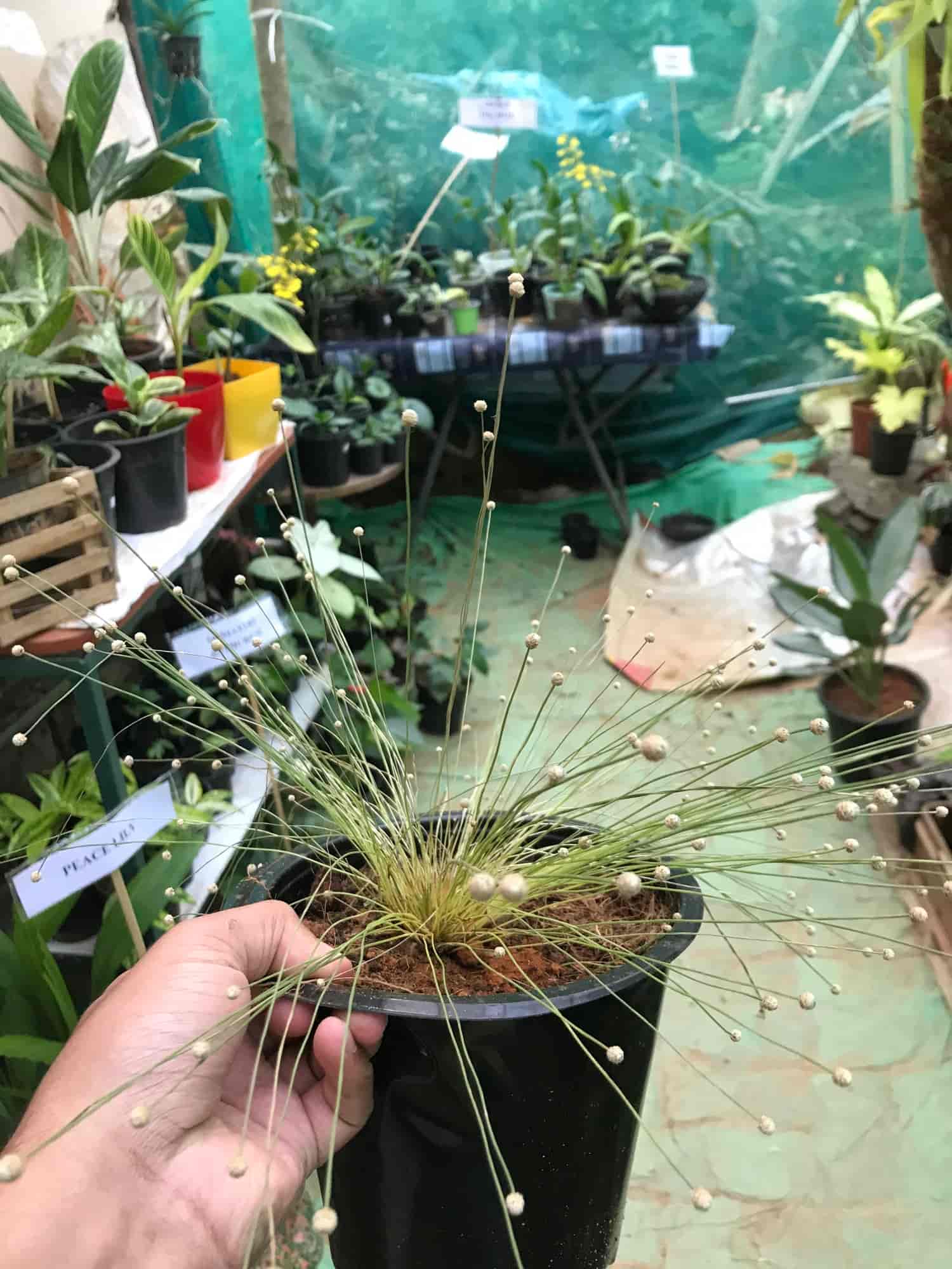 Top Fertilizer Dealers in Kalpetta - Best Fertilizer Retailers Wayanad ...