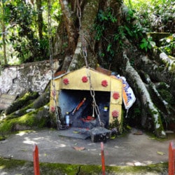 Top Temples in Vythiri - Best Hindu Temple near me - Justdial