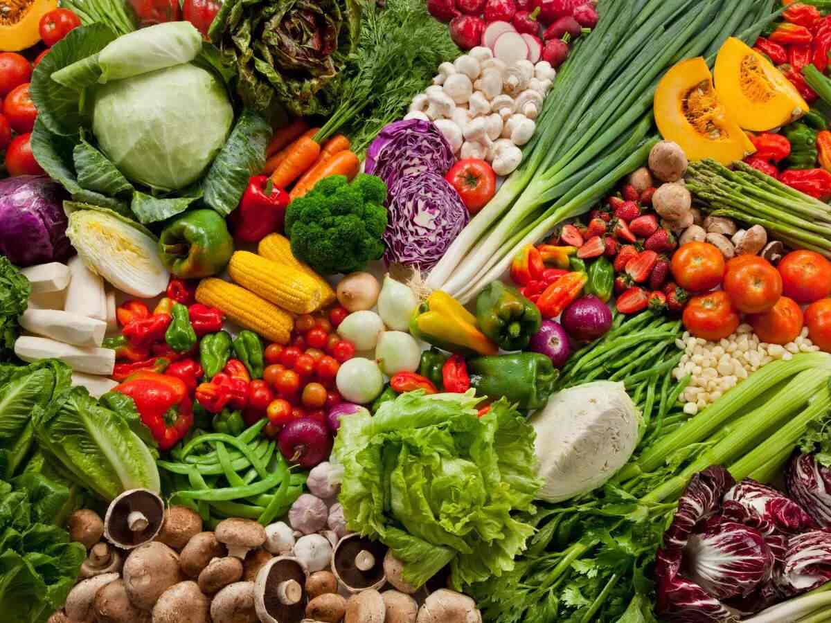 Vibrant Dehydro Foods Pvt Ltd in Santacruz West, Mumbai - Best ...