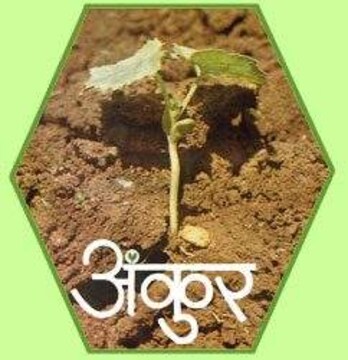 Ankur Mulch Mats - Get Best Price from Manufacturers & Suppliers in India