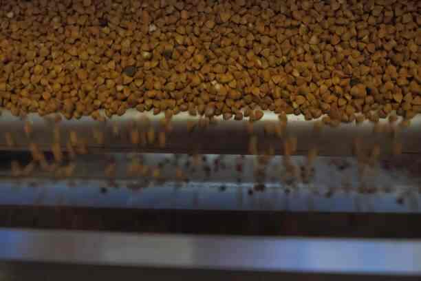Food Grains Nut Processing Machine - Get Best Price from Manufacturers ...