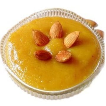 Badam Tree Indian Almond Tree Terminalia Catappa Plant in Ahmedabad ...