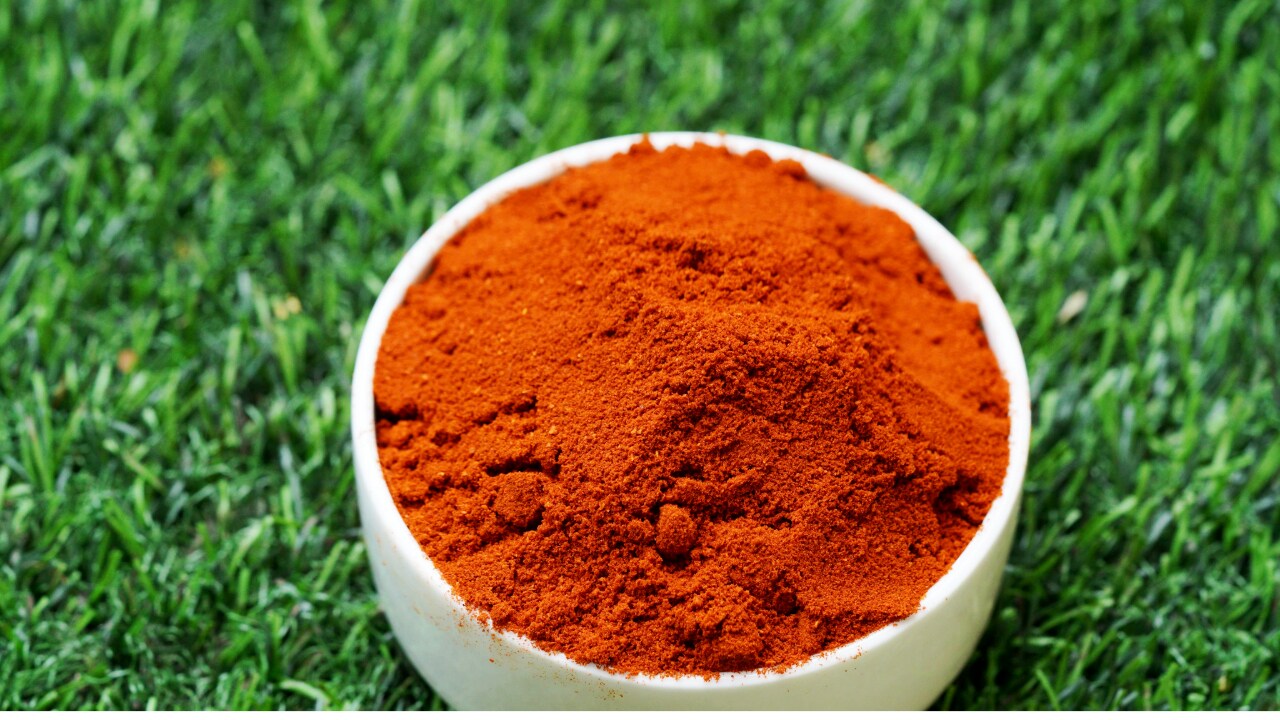 Bafat Masala - Aromatic Spice Blend for Flavorful Dishes - Justdial ...