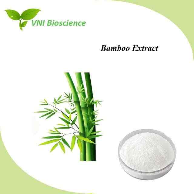 Bamboo Extract in Barnala - Pure, Natural, Organic - Justdial Verified