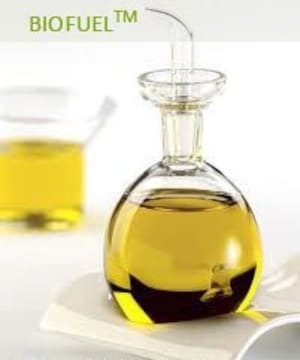 Biofuel in Delhi - Dealers, Manufacturers & Suppliers - Justdial