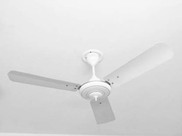 Cinni 3 White Ceiling Fan Price Starting From Rs 2,886 | Find Verified ...