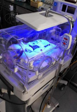 closed box incubator