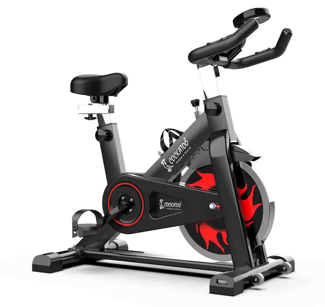 Cockatoo exercise bike store