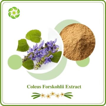 coleus forskohlii extract benefits