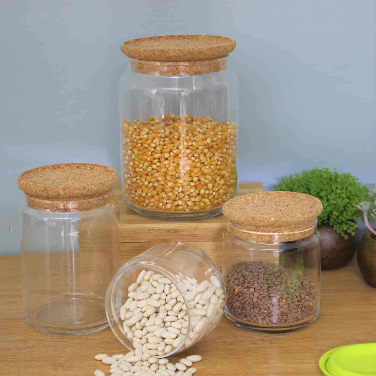 Homies Glass Jars in Mumbai - Dealers, Manufacturers & Suppliers -Justdial