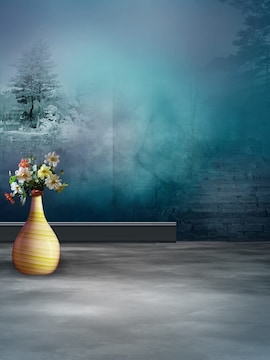 photo backgrounds studio