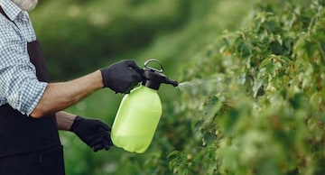 Propineb Fungicide Wholesalers - Get Best Price from Manufacturers ...