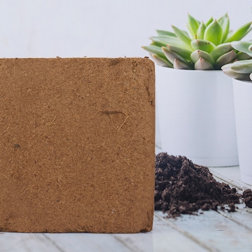 Coir Coco Peat - Premium, Eco-Friendly Growing Medium - Justdial Verified