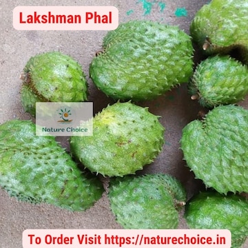 guyabano fruit side effects