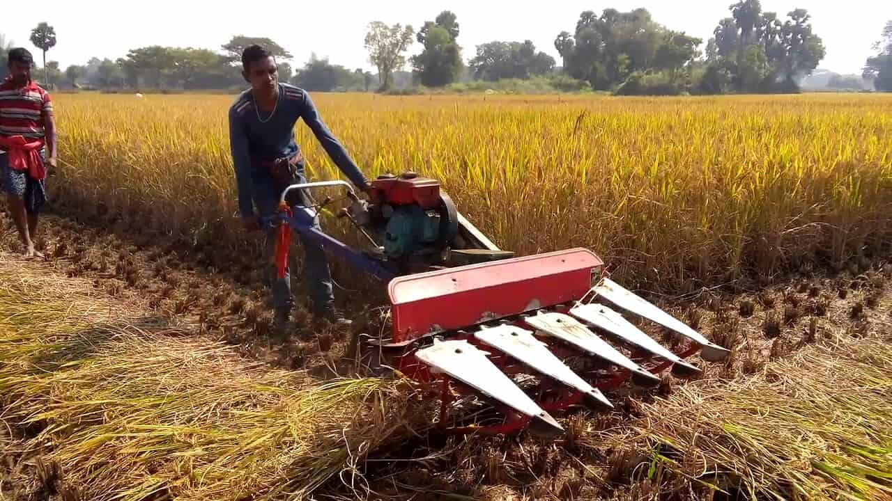 Paddy cutting machine price store