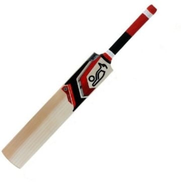 how to draw a kookaburra bat