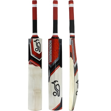 how to draw a kookaburra bat