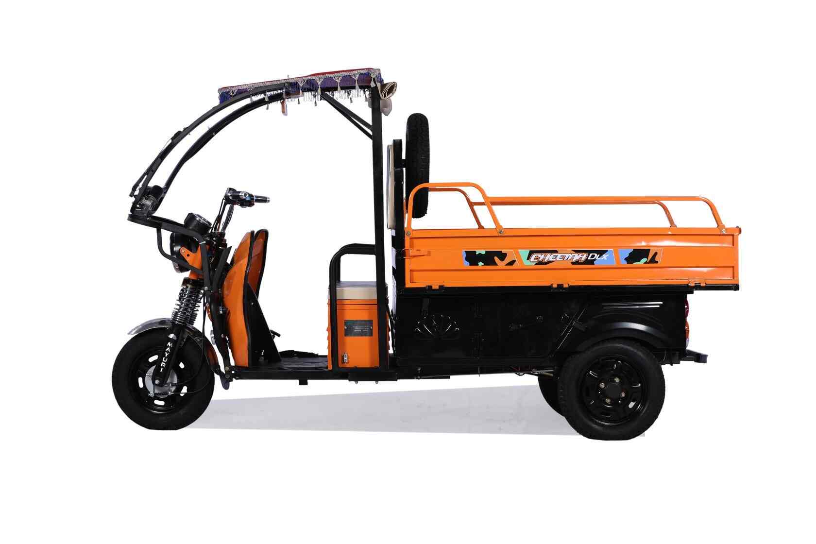Mayuri deluxe e rickshaw price store