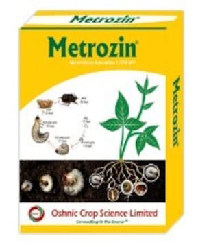 Metarhizium Anisopliae in Jamnagar - Powerful Bioinsecticide & Natural ...