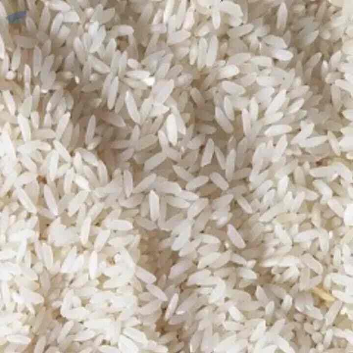 Catalogue - Parvati Industries Pvt Ltd in Saljada , Ahmedabad - Justdial