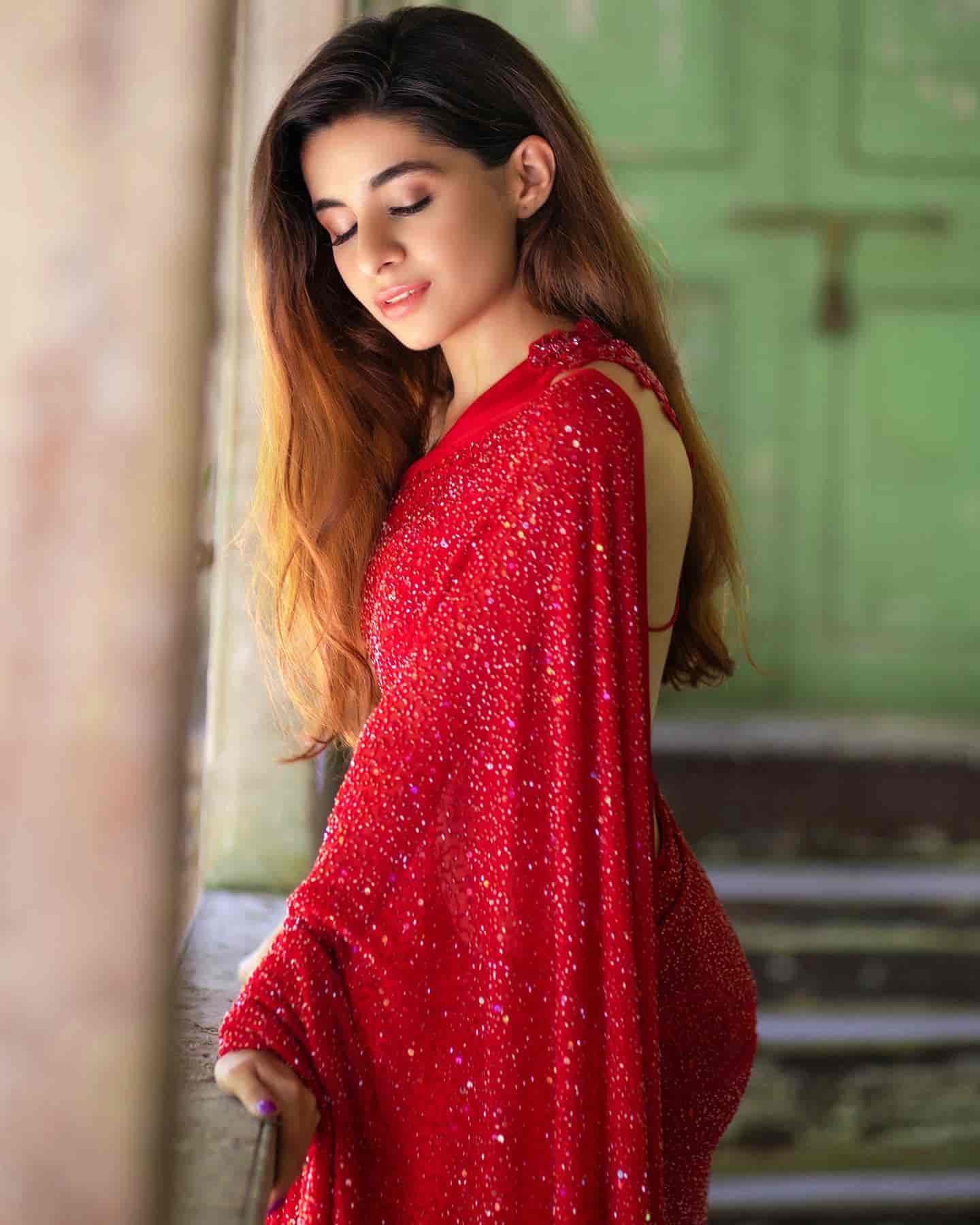 Ladies Fancy Red Silk Sadee - Get Best Price from Manufacturers ...