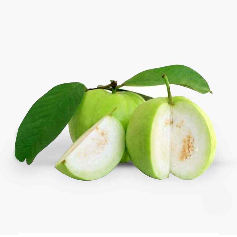 White Guava - Fresh, Juicy, Delicious - Justdial Verified